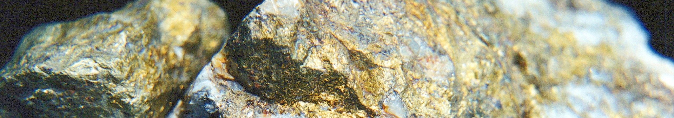 Management | Canadian Critical Minerals Inc